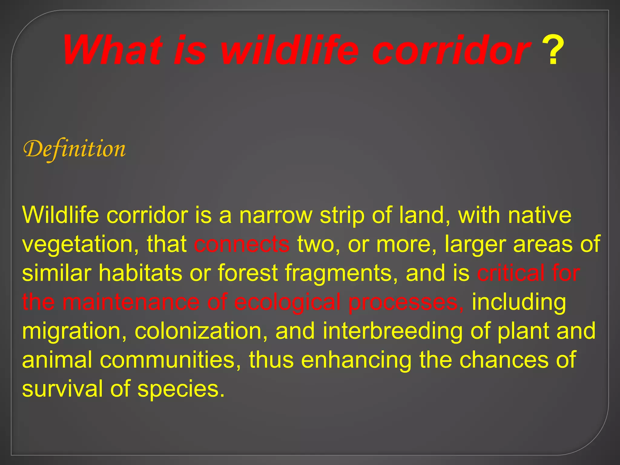 Wild life movement corridor by chandan, bhu | PPTX