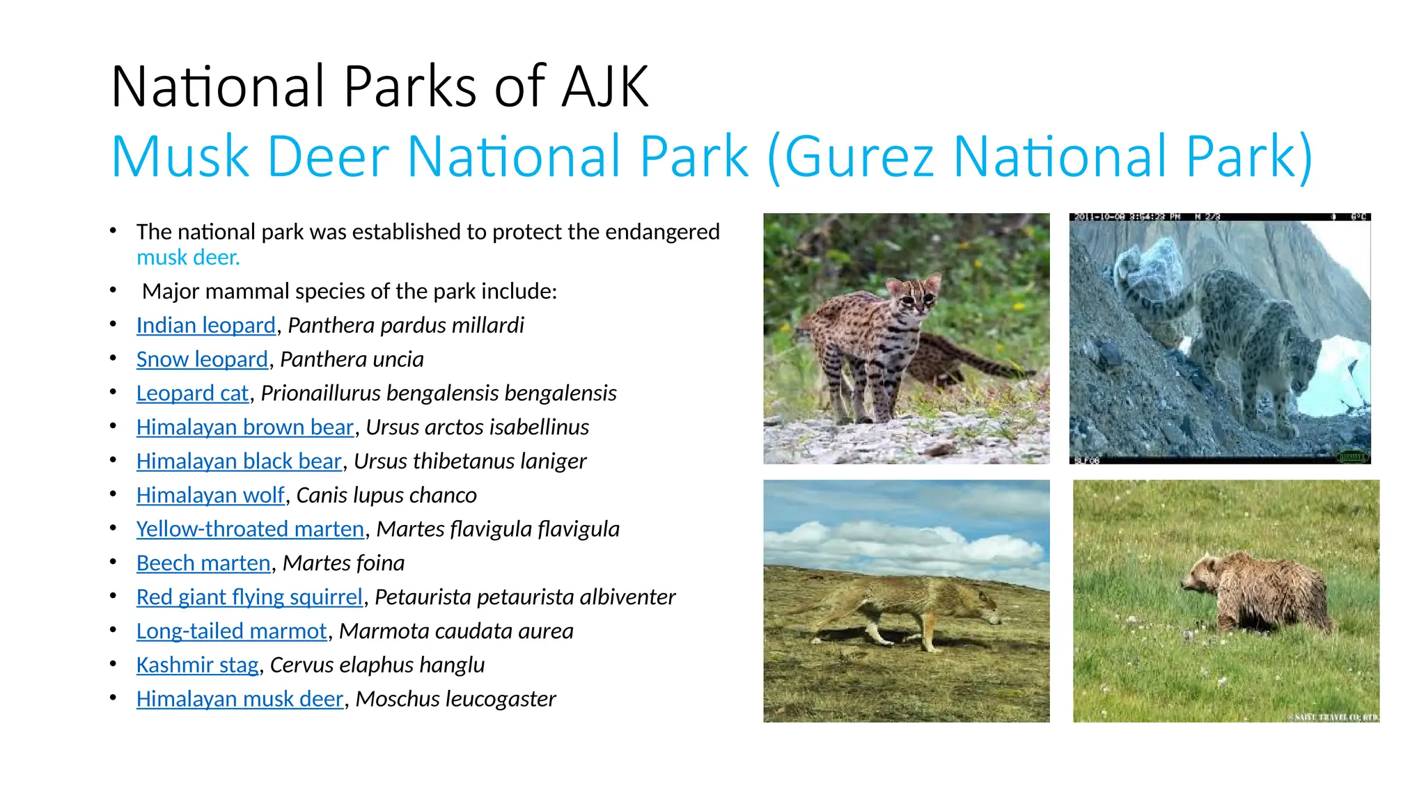 Wildlife of AJK.pptx, ajk wildife details | PPT