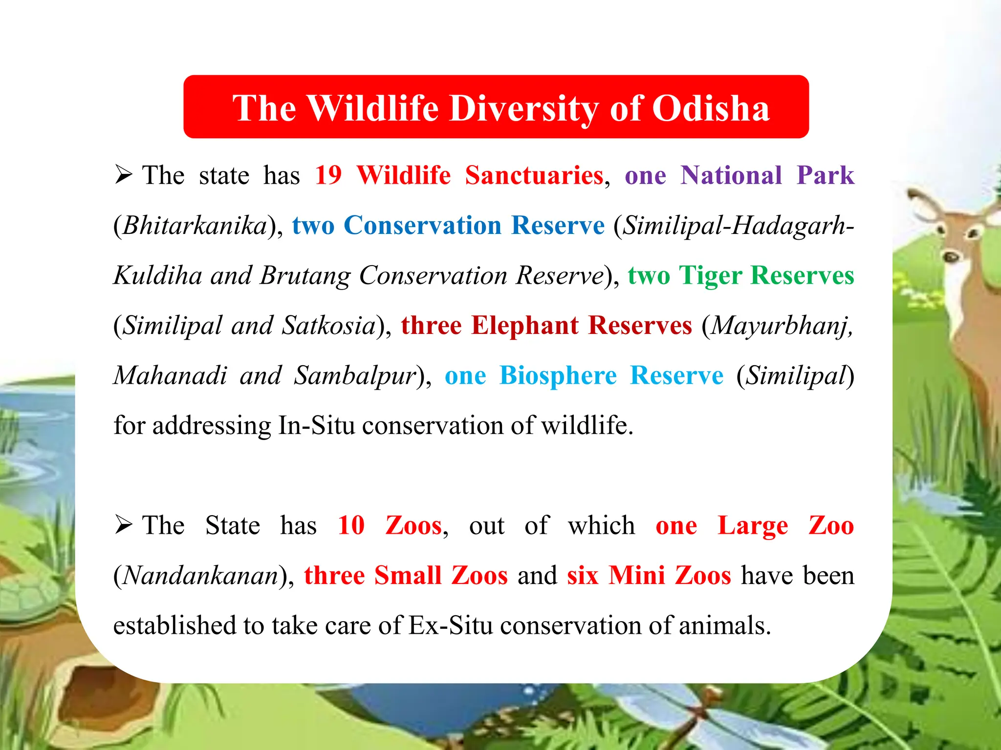 wild life of Odisha.pptx | Zoos & Aquariums | Attractions