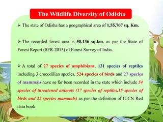 wild life of Odisha.pptx