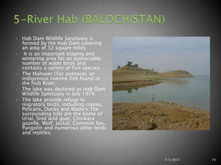 Wildlife of pakistan | PPTX