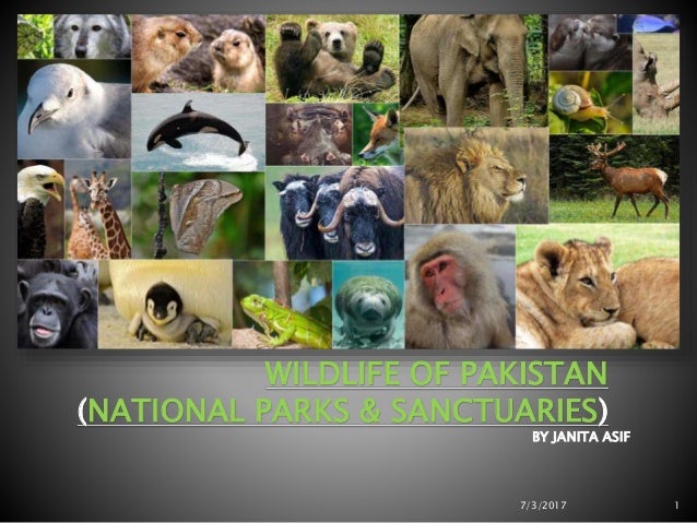 Wildlife of pakistan