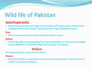Wild life of pakistan | PPTX