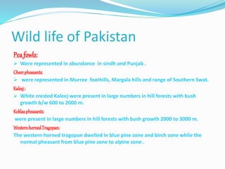 Wild life of pakistan | PPTX