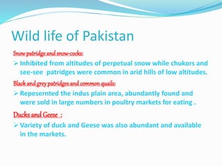 Wild life of pakistan | PPTX
