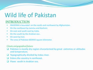 Wild life of pakistan | PPTX