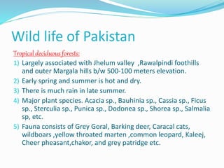 Wild life of pakistan | PPTX