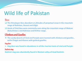 Wild life of pakistan | PPTX