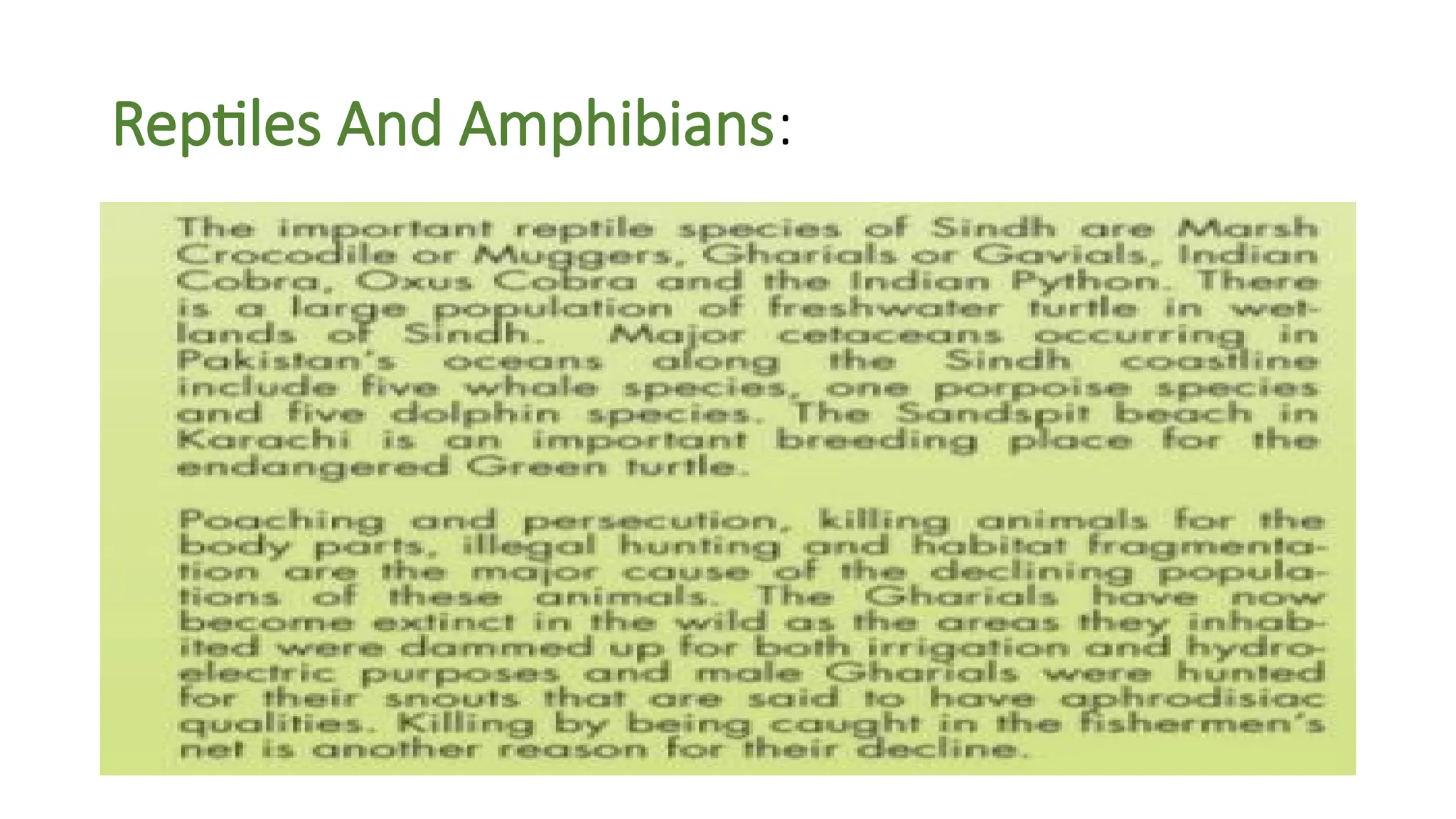 wildlife of sindh mammals reptile m.pptx
