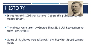 Wild life photography | PPTX