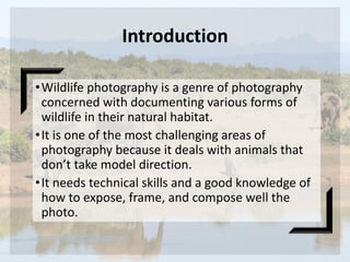 Wildlife photography | PDF