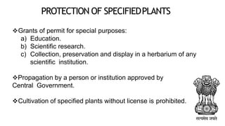 Wild Life Protection Act, 1972 | PPTX