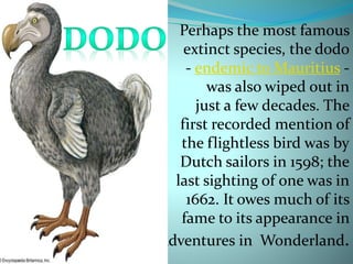 Wild life ppt by kalal soham | PPT