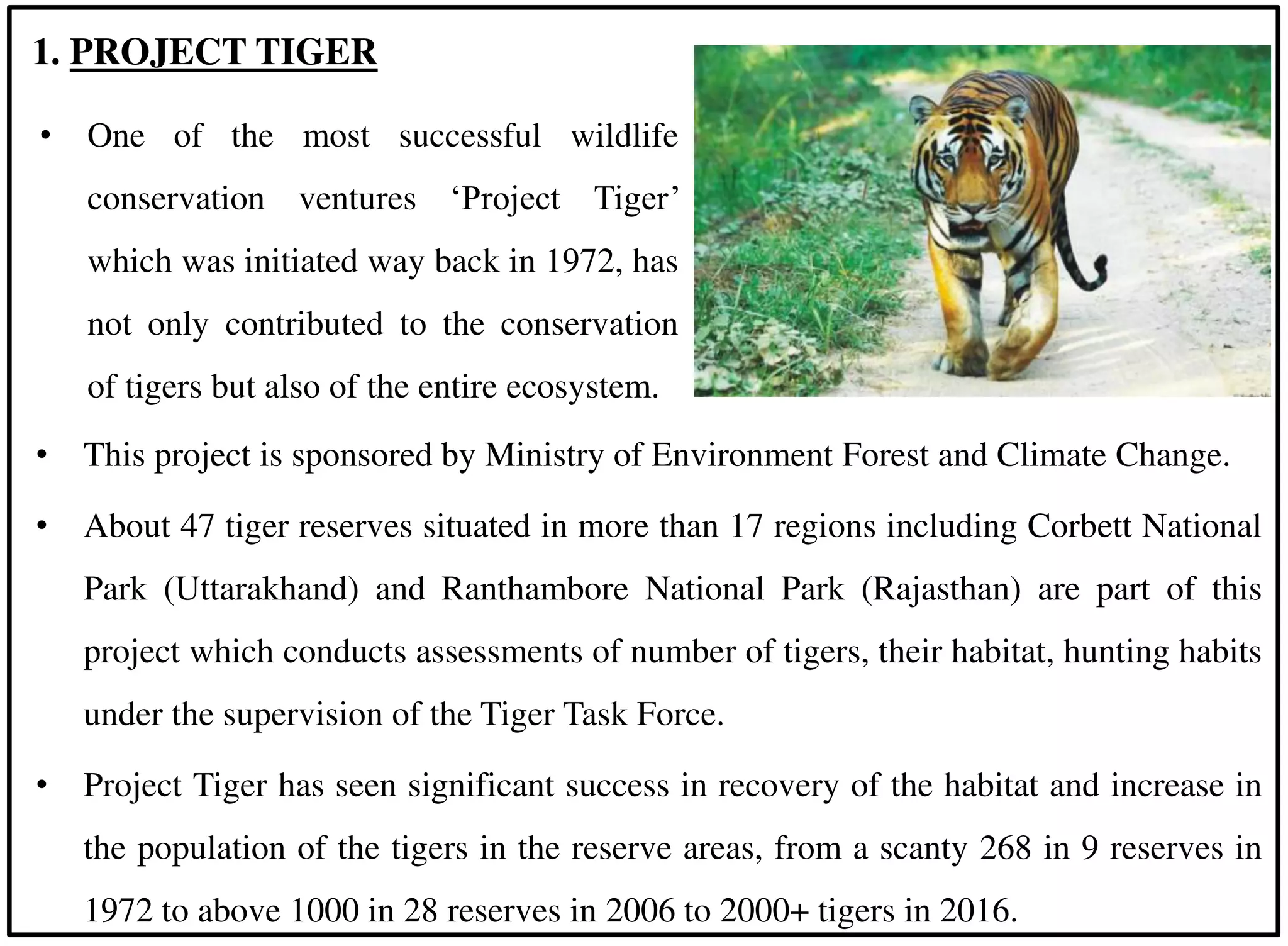 Wildlife presentation | PDF