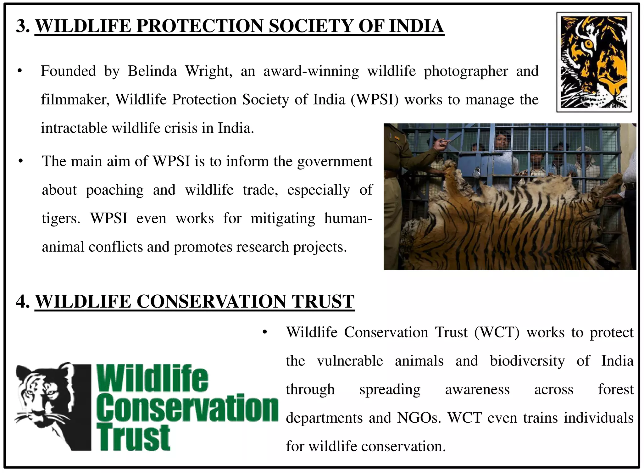 Wildlife presentation | PDF