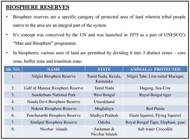 Wildlife presentation | PDF | Zoos & Aquariums | Attractions