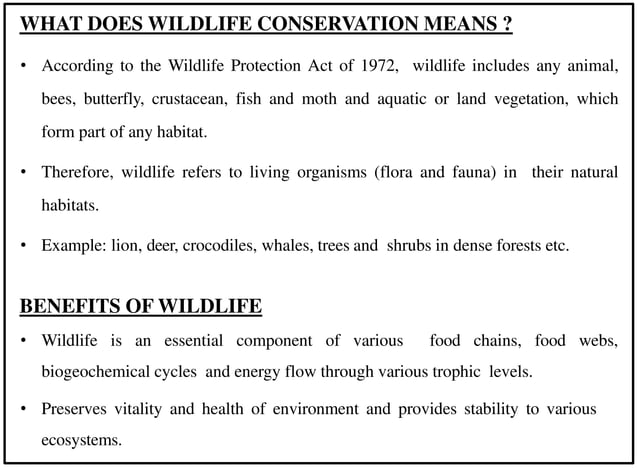 Wildlife presentation | PDF | Zoos & Aquariums | Attractions