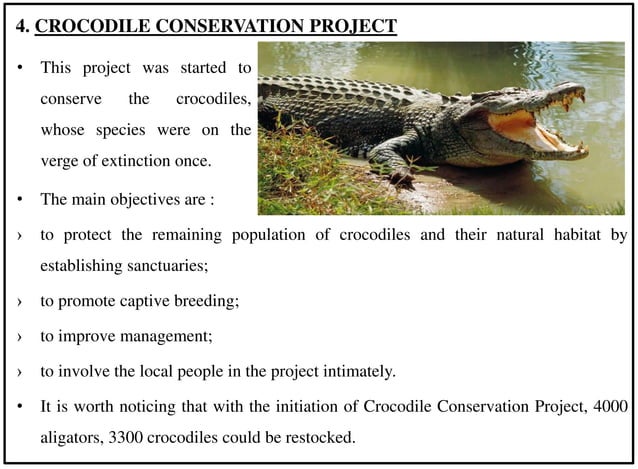 Wildlife presentation | PDF | Zoos & Aquariums | Attractions