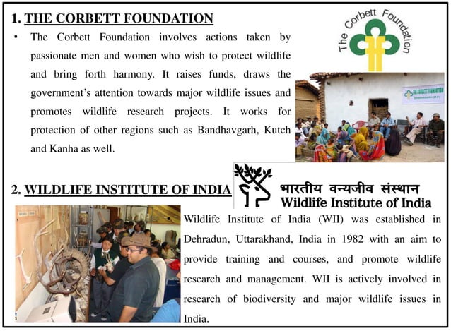 Wildlife presentation | PDF | Zoos & Aquariums | Attractions