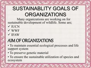 Wildlife & Sustainable development | PPTX