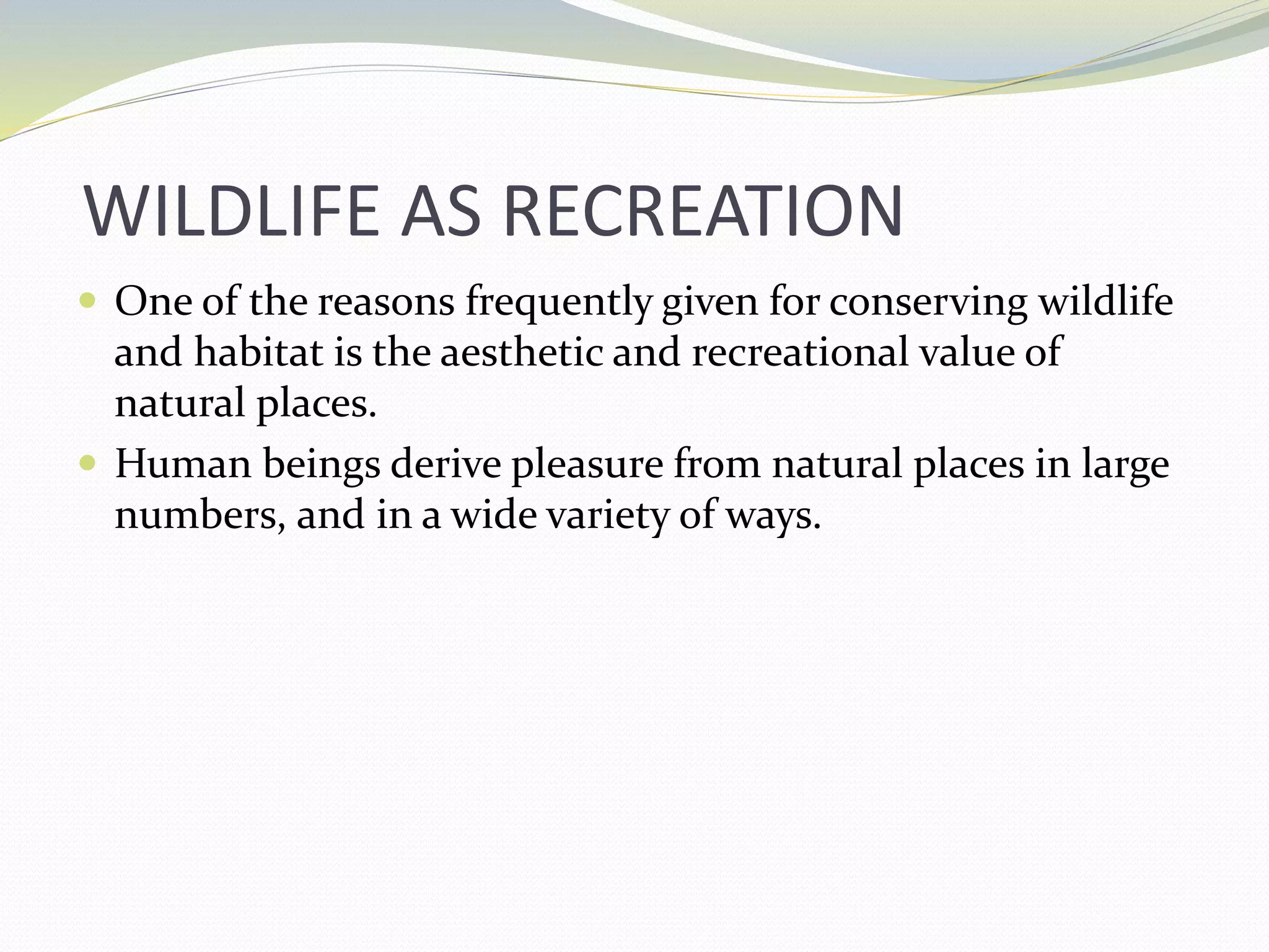 Wildlife Presentation Pptx