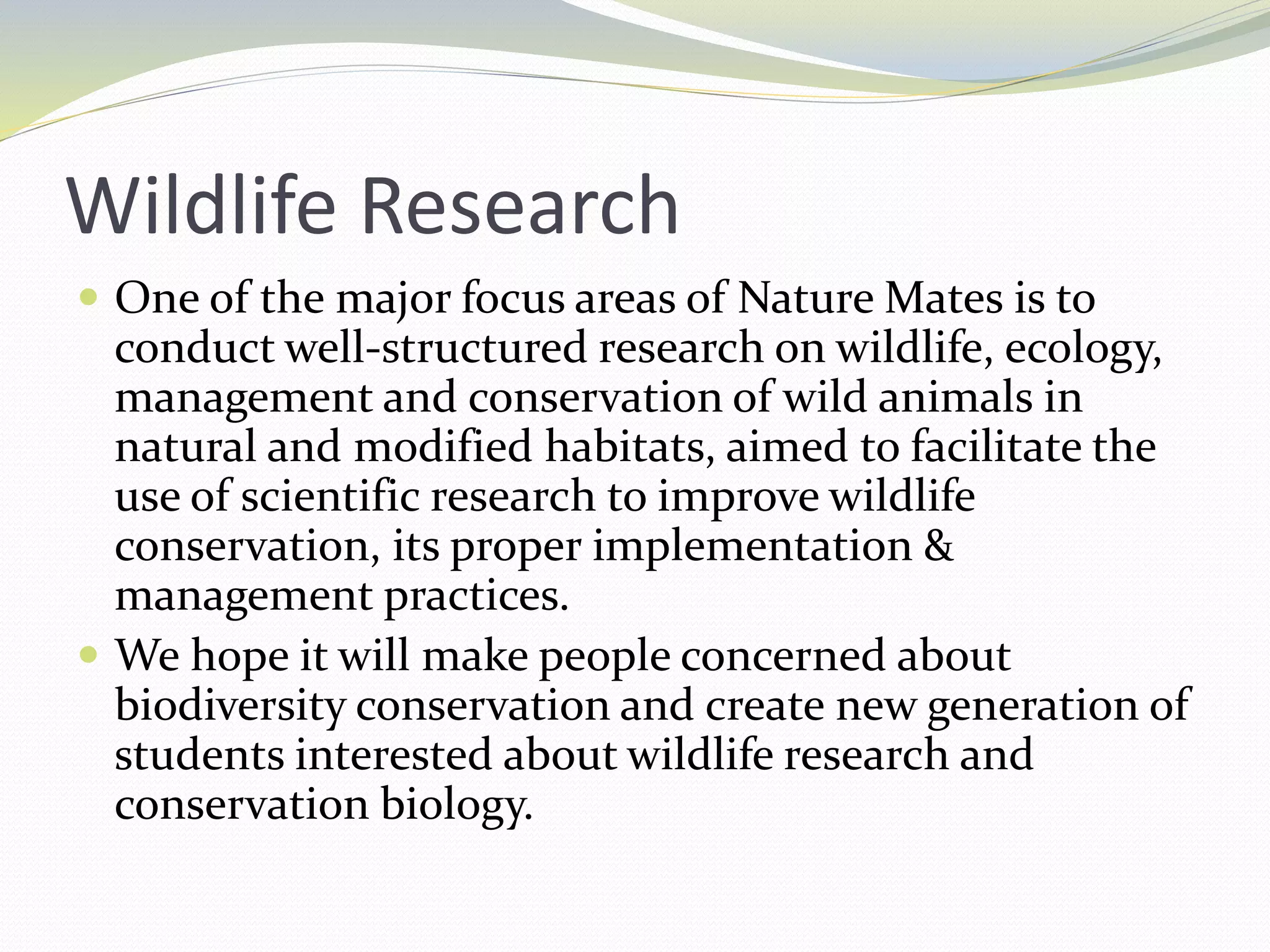 Wildlife Presentation Pptx