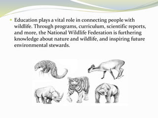 Wildlife presentation .pptx