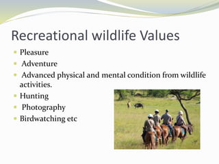 Wildlife presentation .pptx