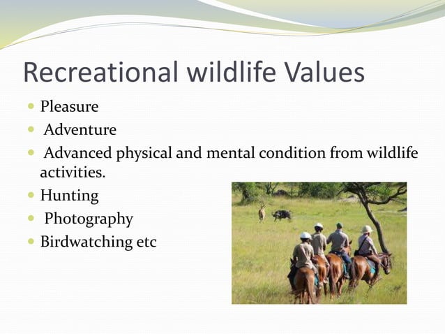 Wildlife presentation .pptx | Hunting and Shooting | Sports