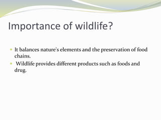 Wildlife presentation .pptx