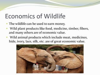 Wildlife presentation .pptx
