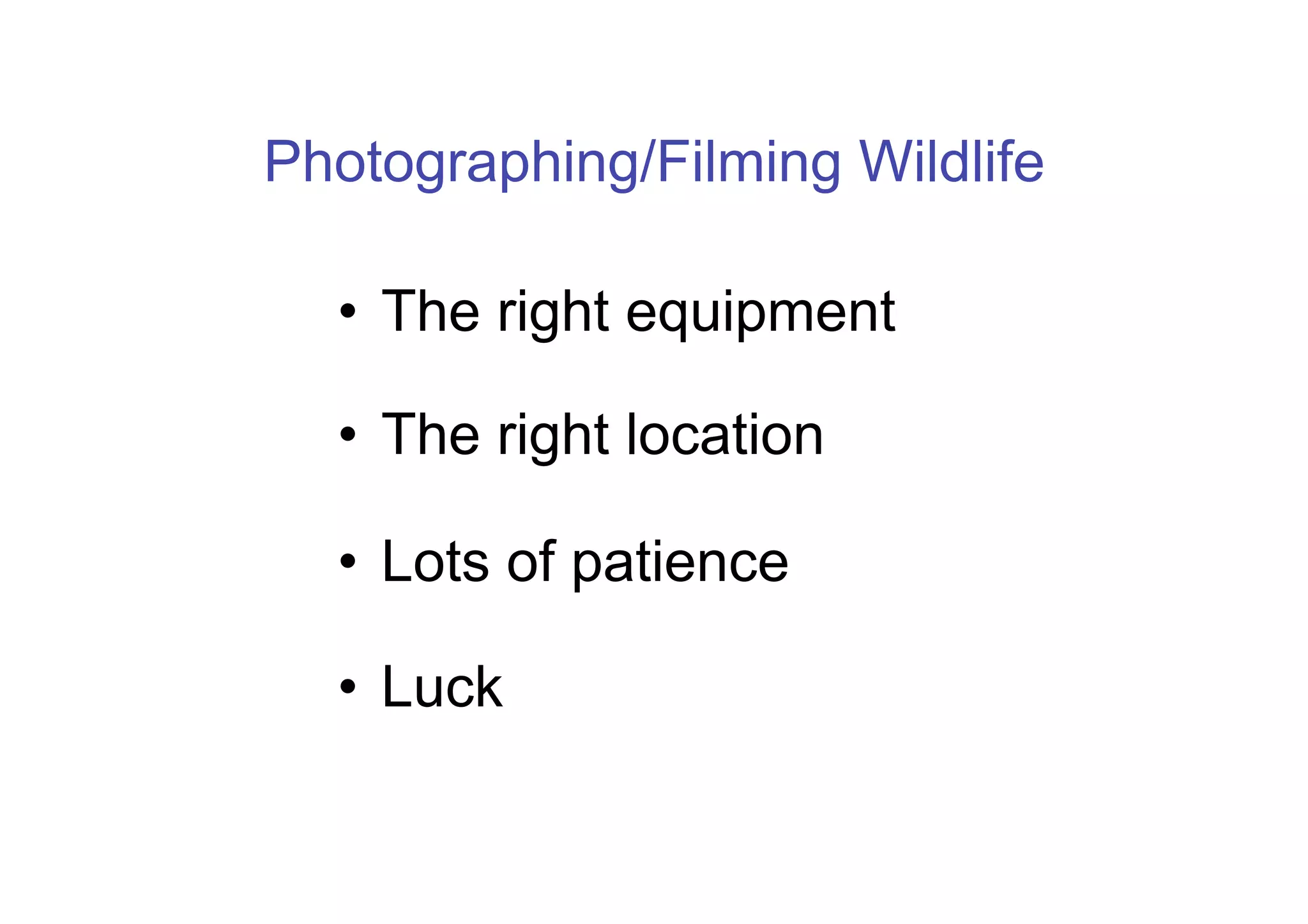 Wildlife Presentation | PDF