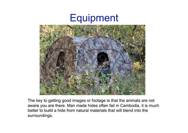 Wildlife Presentation | PPT
