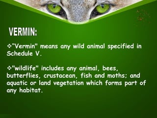 Wildlife prevention act | PPTX