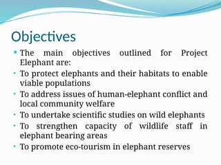 TIGER , ELEPHANT AND SEA TURTLE PROJECTS.pptx