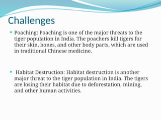 TIGER , ELEPHANT AND SEA TURTLE PROJECTS.pptx