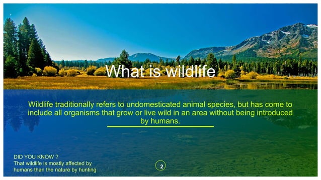 Wildlife protection | PPT