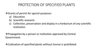 wildlife protection.pptx