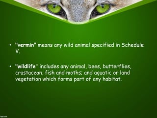Wildlife protection act | PPTX