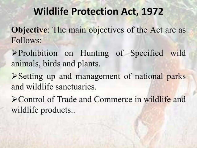 Wildlife protection act, 1972 | PPTX | Zoos & Aquariums | Attractions