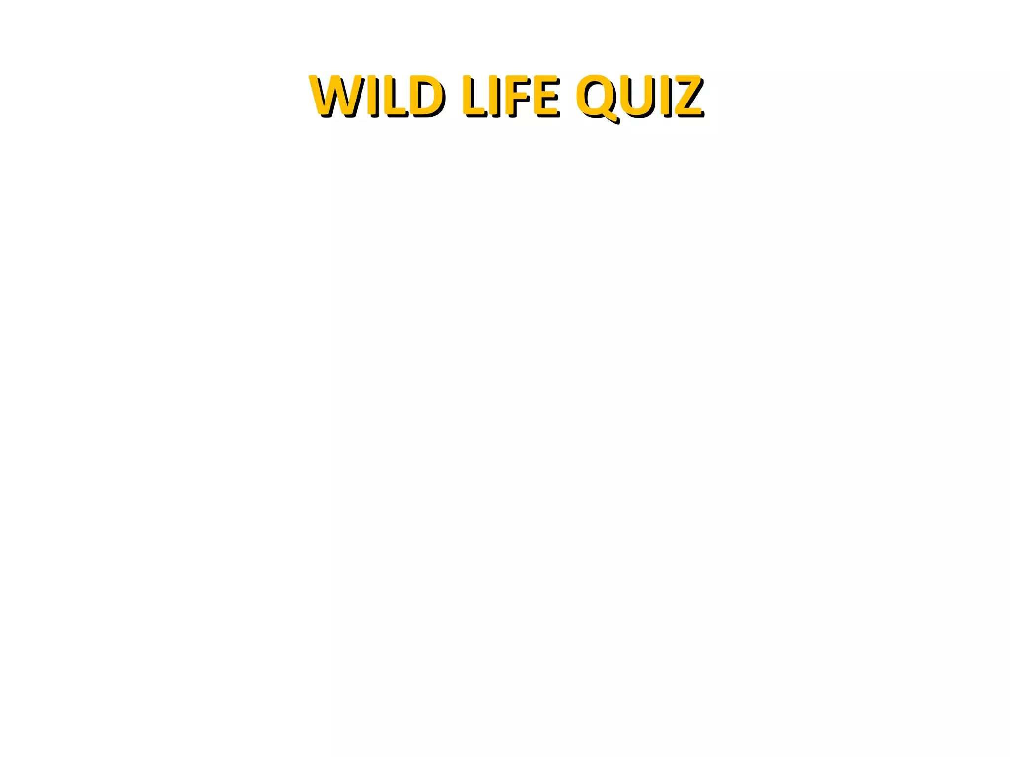 Wild life quiz saranathan | PPT
