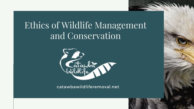 Ethics of Wildlife Management and Conservation | Wildlife Removal ...