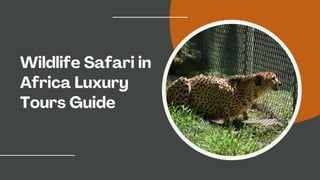 Wildlife Safari in Africa Luxury Tours Guide | PPT