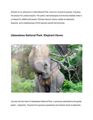 Wildlife Sanctuaries in Sri Lanka_ A Nature Lover's Paradise.pdf