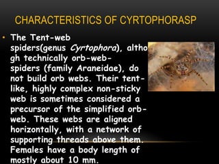 Wildlife sanctuary of Phansad | PPTX