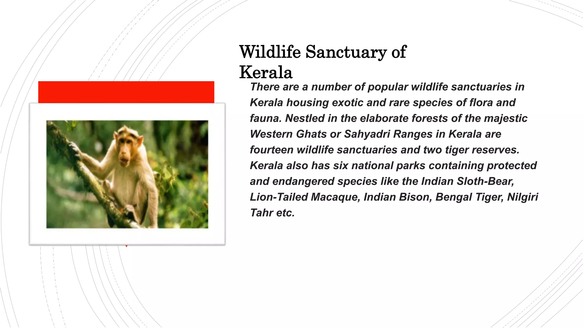 wildlife sanctuary of Kerala.pptx
