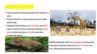 WILDLIFE THREATS AND THEIR MANAGEMENT IN INDIA.pptx