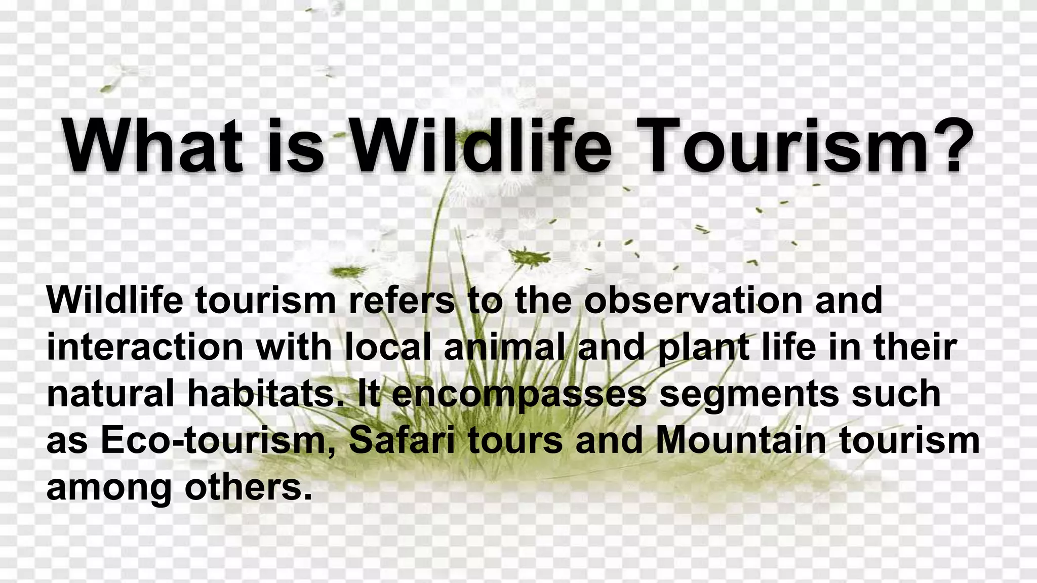 Wildlife tourism | PPTX