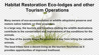 Wildlife tourism | PPTX