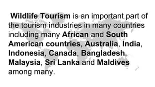 Wildlife tourism | PPTX